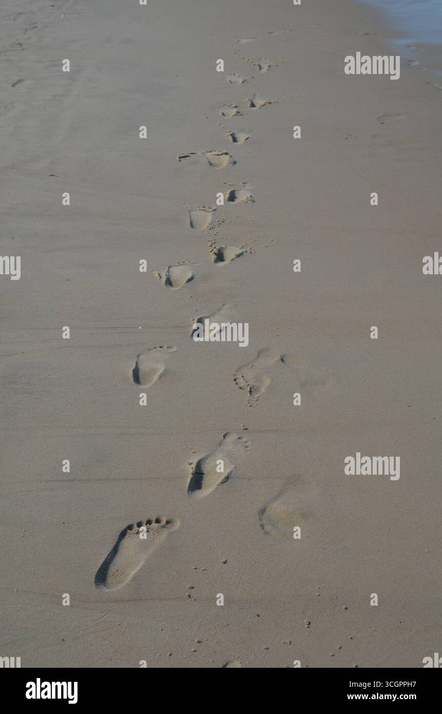human footprints in the sandy beach Stock Photo - Alamy