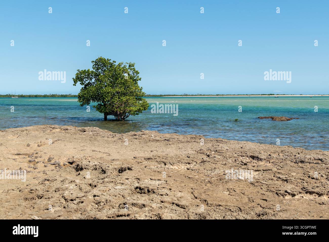 Belo Sur Mer beach, Madagascar Stock Photo - Alamy