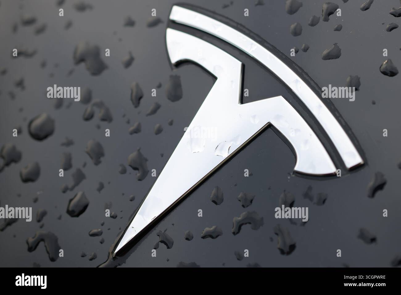 Tesla logo on a black surface with rain droplets after light morning ...