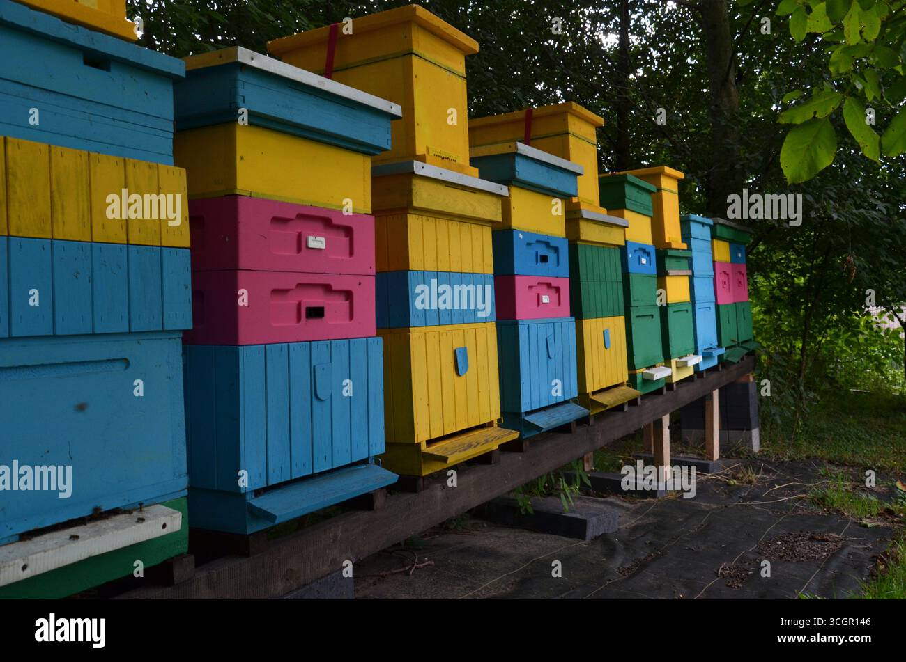 Colorful Beehives for Bees Stock Photo - Alamy