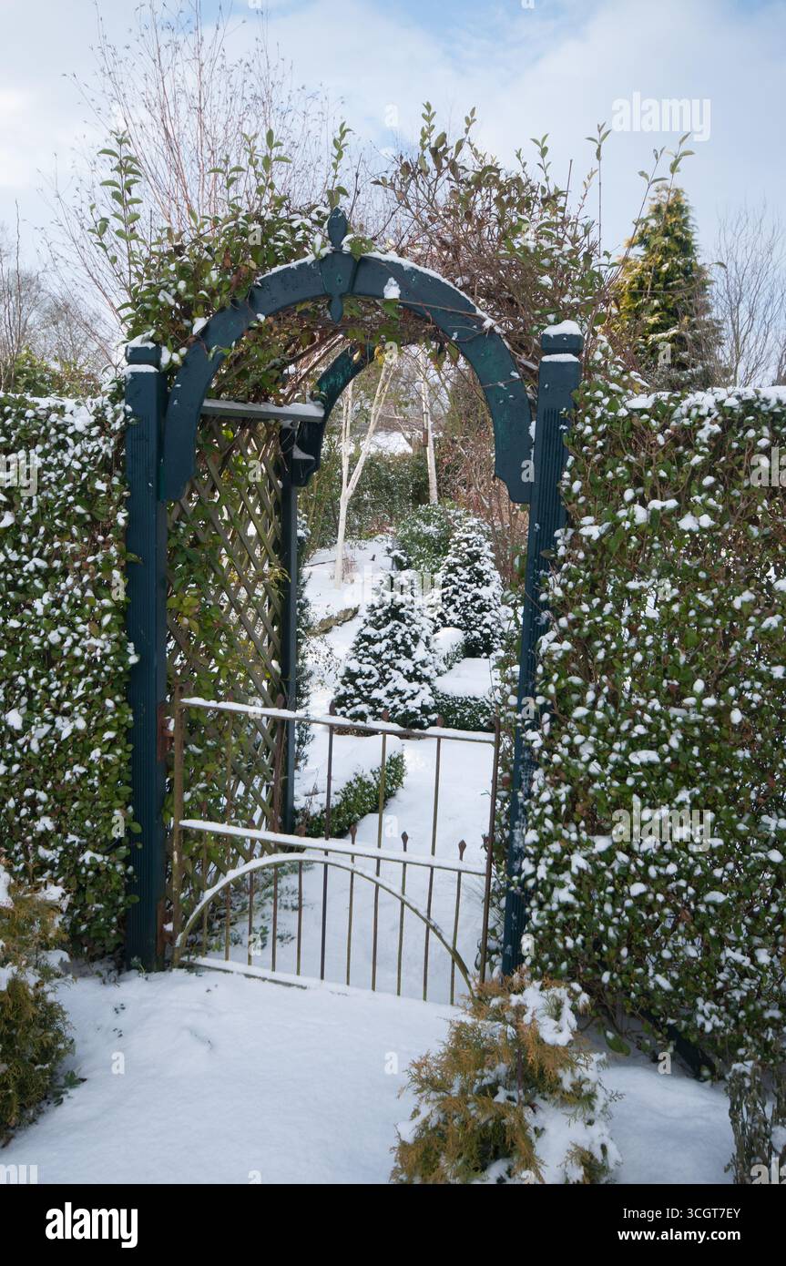 A peaceful winter garden is transformed by fresh snow, showcasing an ...