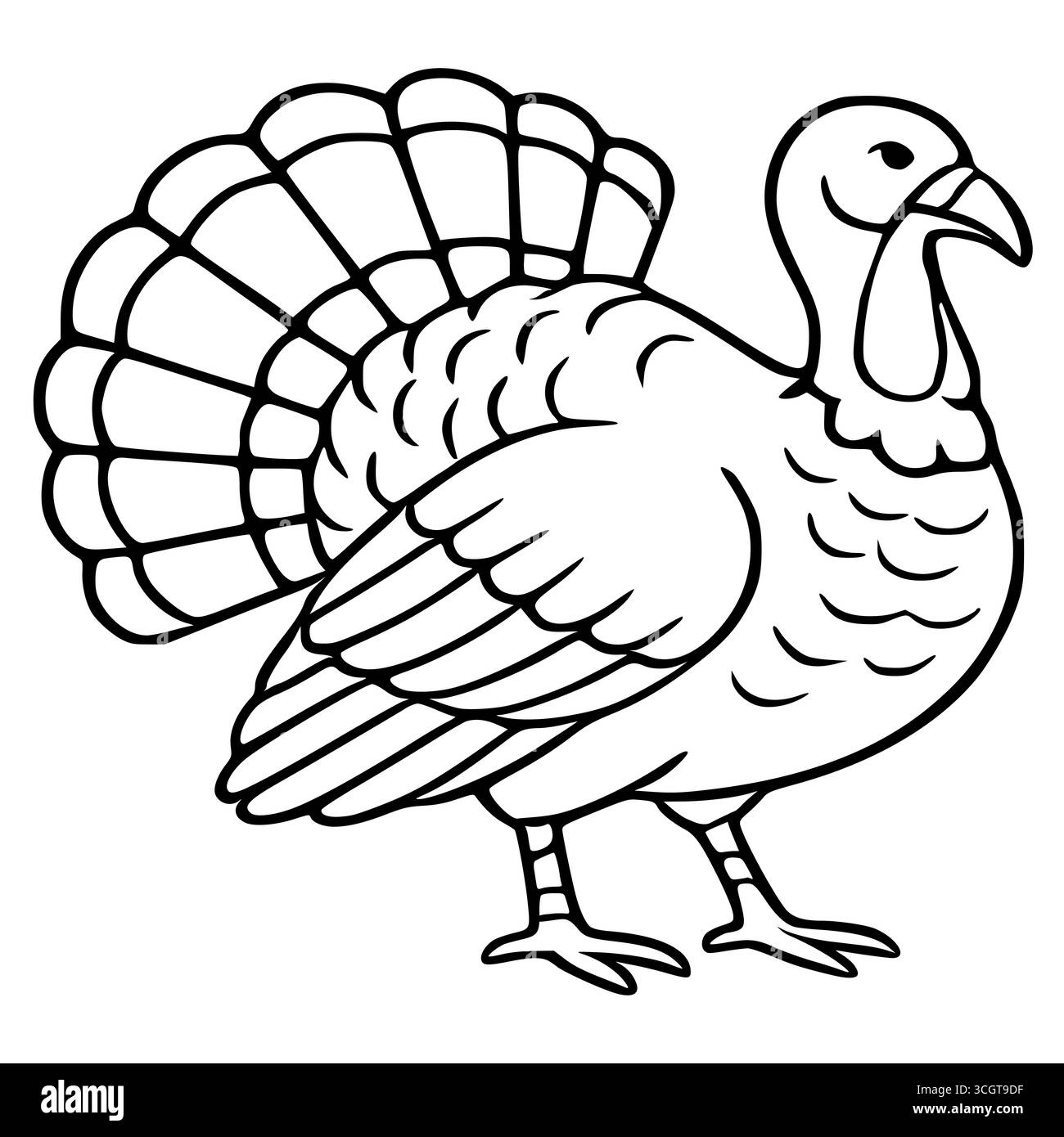 Thanksgiving vector illustration of a detailed turkey with a ...