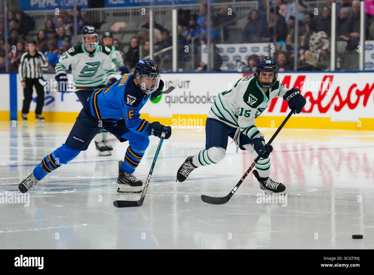 Toronto, Canada. 14th Feb, 2025. Toronto Sceptres' Hayley Scamurra (16 ...