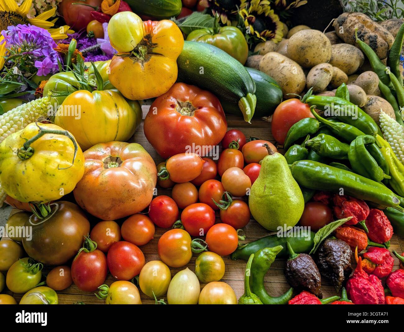 Canadian autumn harvest of heirloom vegetables, herbs, and fruits Stock ...