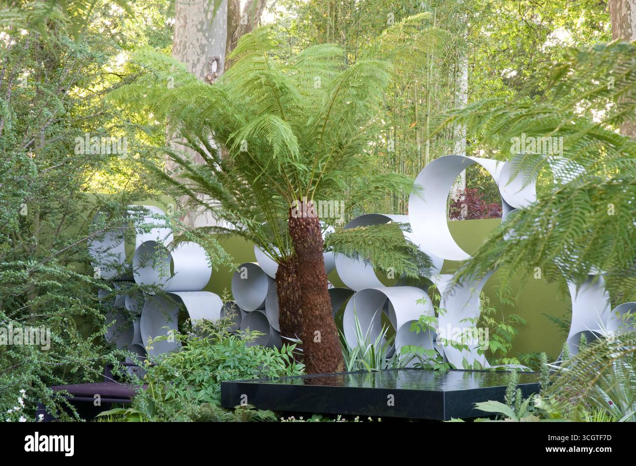 Bright green ferns stand next to a contemporary art installation ...
