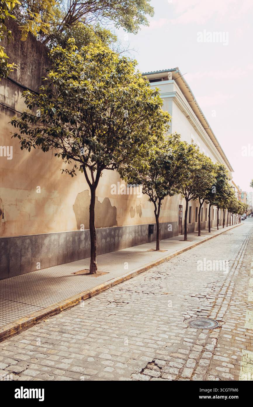 Cádiz, Spain’s ancient port city, blends golden beaches, rich history, and vibrant Andalusian ...