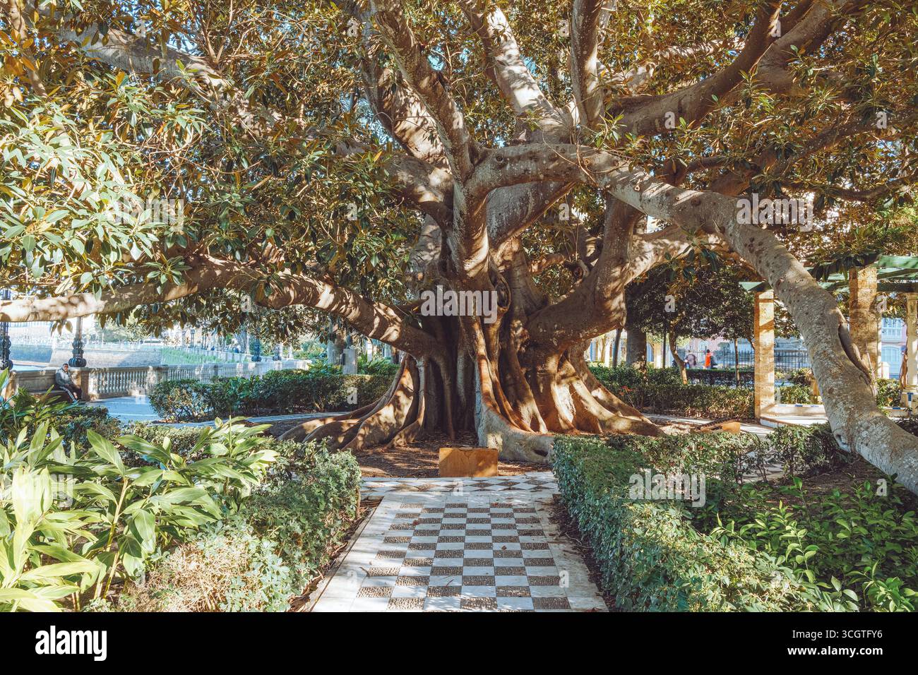 Cádiz, Spain’s ancient port city, blends golden beaches, rich history, and vibrant Andalusian ...