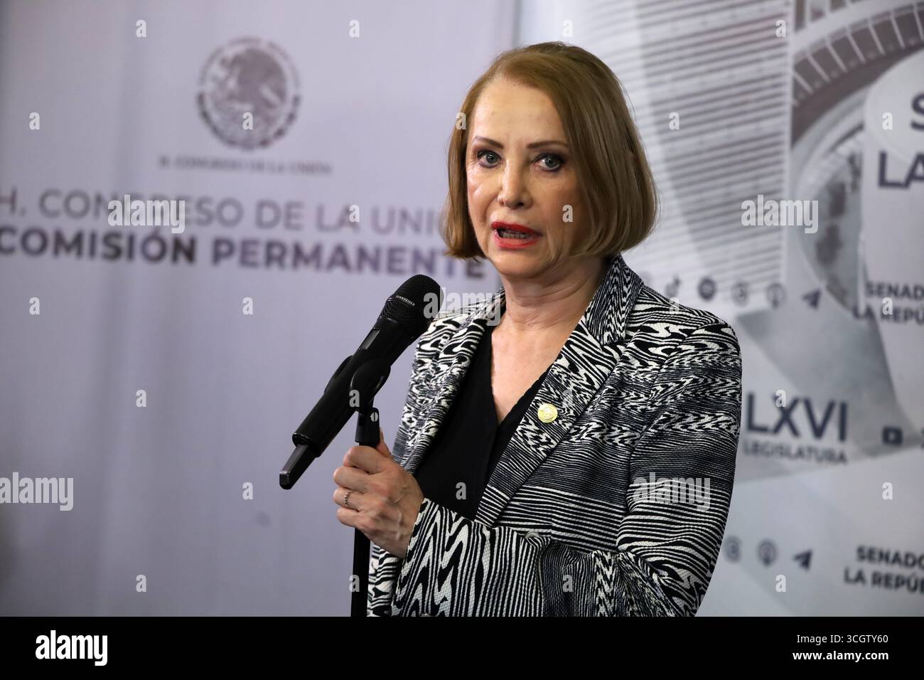The incoming president of the Mexico’s Senate, Laura Itzel Castillo ...