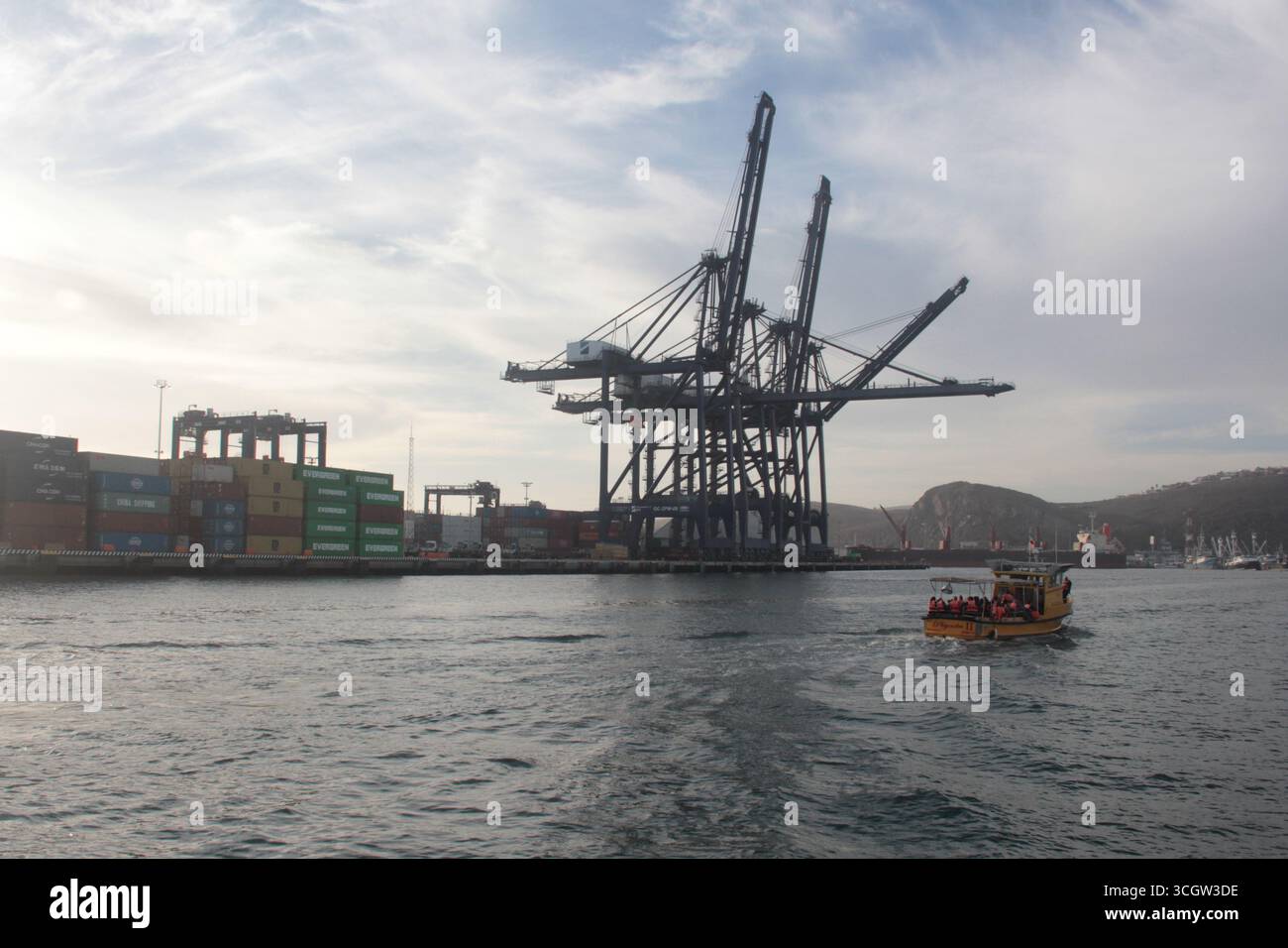 Ensenada, Baja California, Mexico - Mar 16, 2025: Harbor cranes are ...