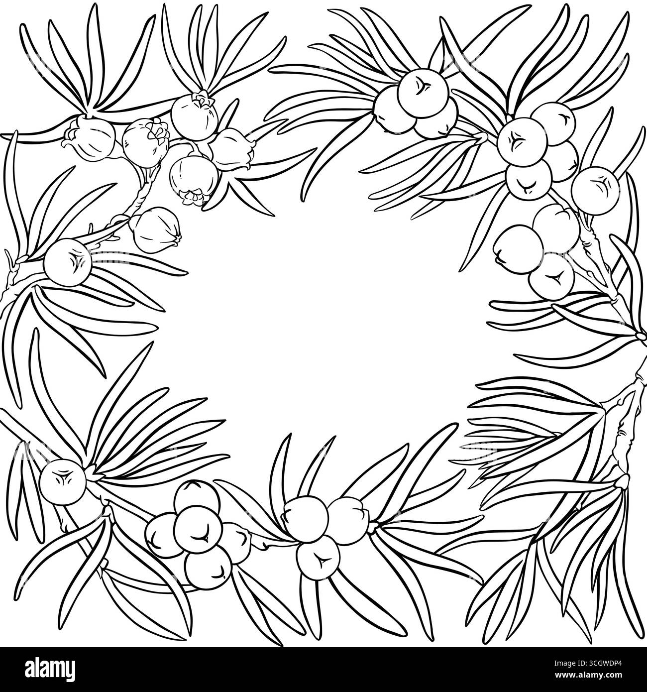 Juniper bloom Stock Vector Images - Alamy