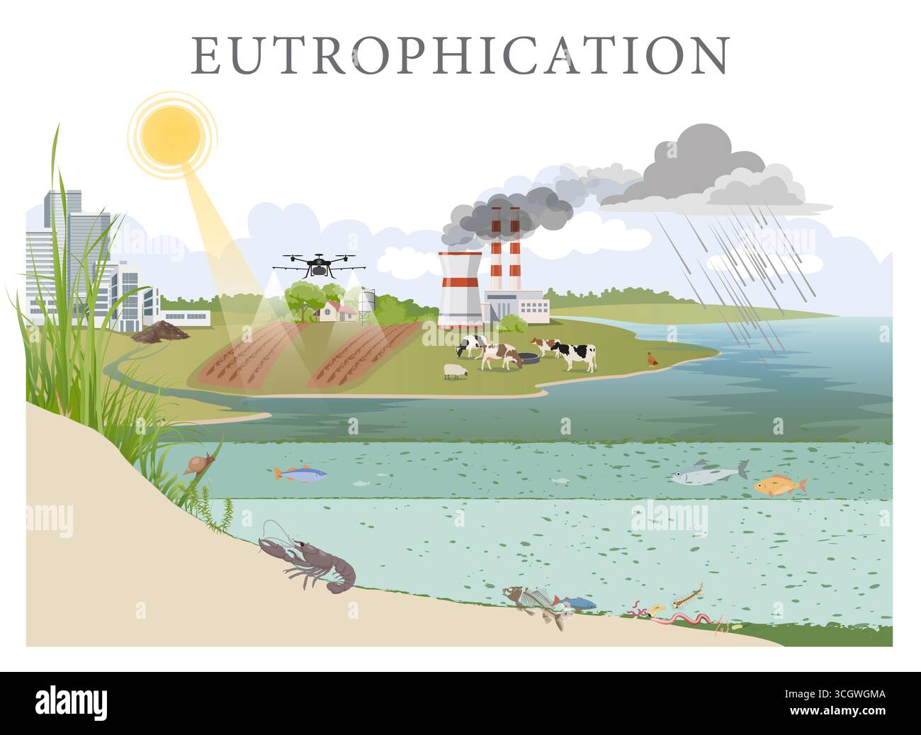 Eutrophication - the excessive nutrient enrichment of water, leading to algal blooms and ...
