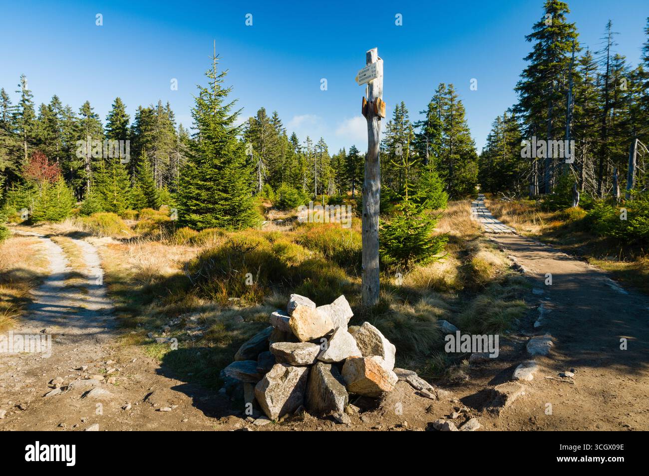 Signpost at intersection of two hiking trails in an untouched wild ...