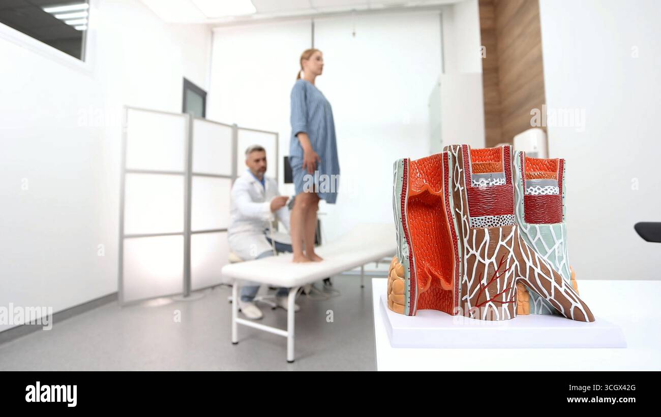 Leg venous ultrasound . Doctor sonographer examines veins condition of ...