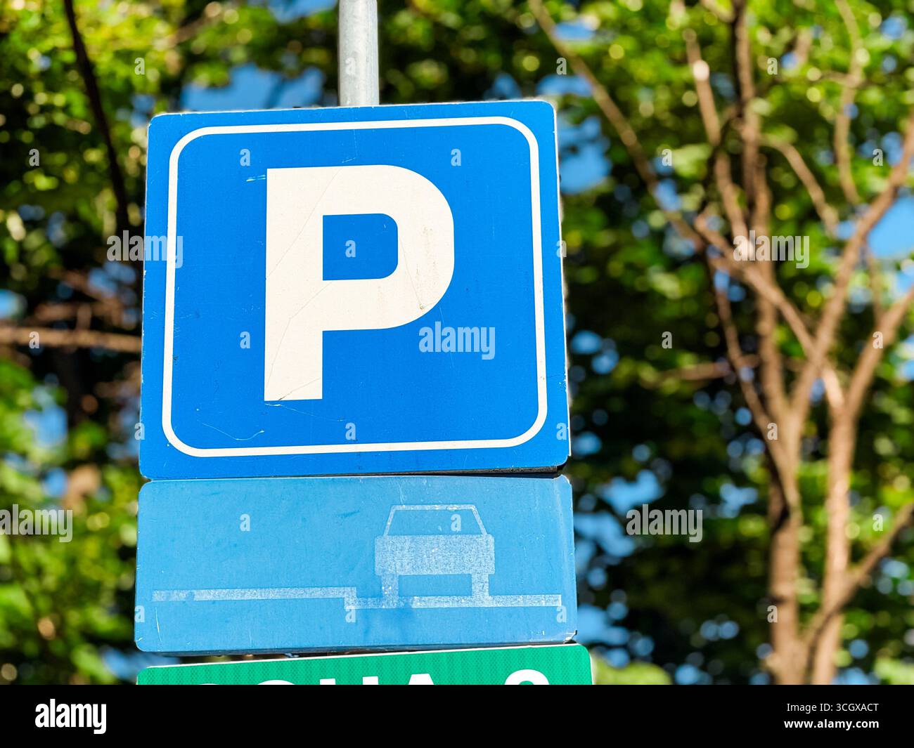 Blue parking sign with white letter P displayed on a metal pole in ...
