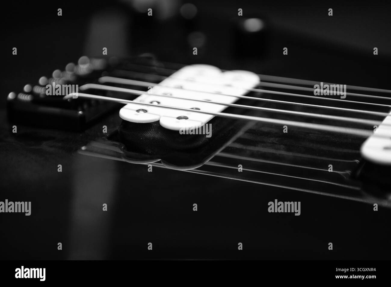 Macro closeup photo of an electric guitar bridge and pickups captured ...