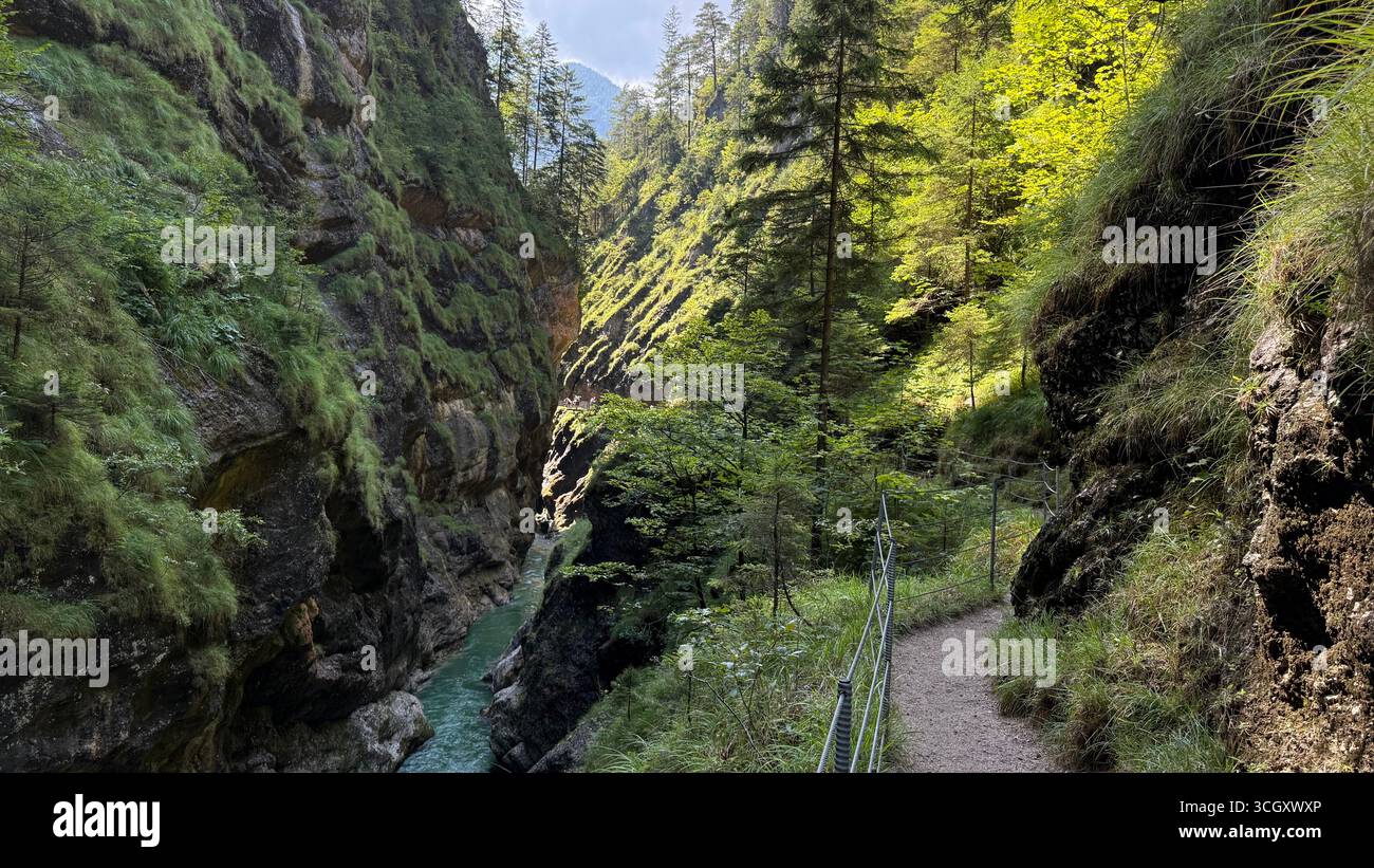 Lush forest surrounds a narrow mountain gorge with a winding trail ...