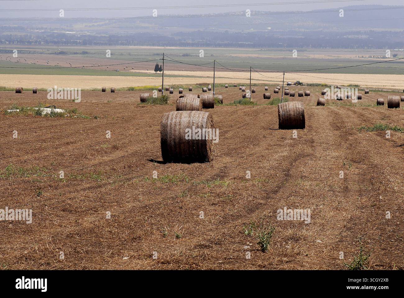 Israel farms Israel May 8,2006 Stock Photo - Alamy