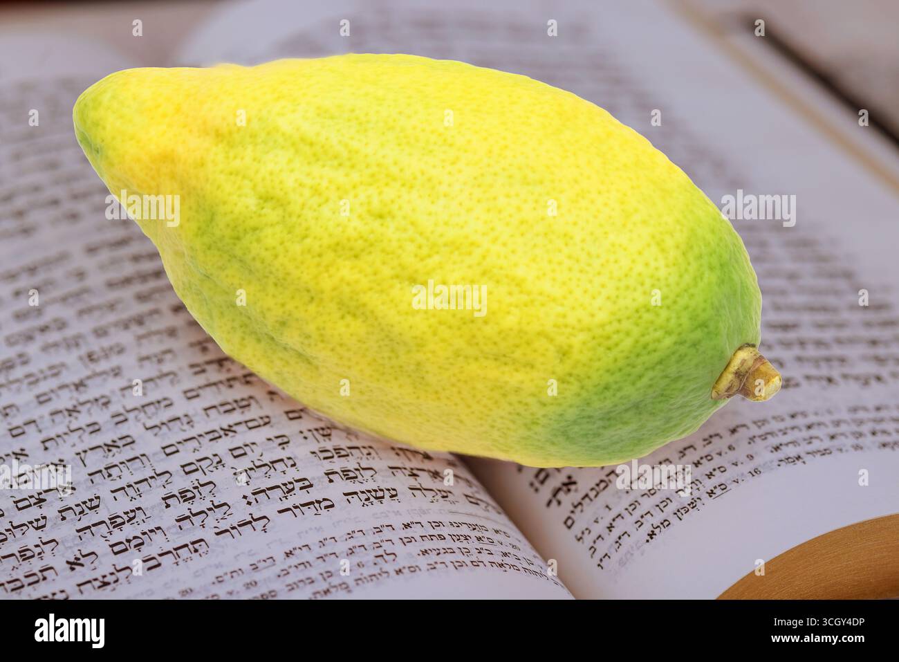 1 August 2025 Jerusalem Israel Traditional Jew symbols yellow etrog ...