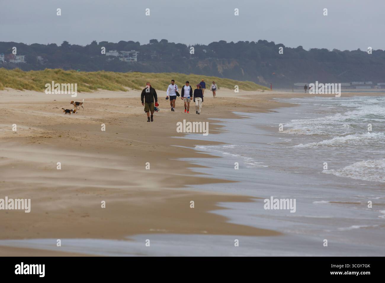 Studland, Dorset UK. 30th August 2025. UK weather: grey windy day with ...