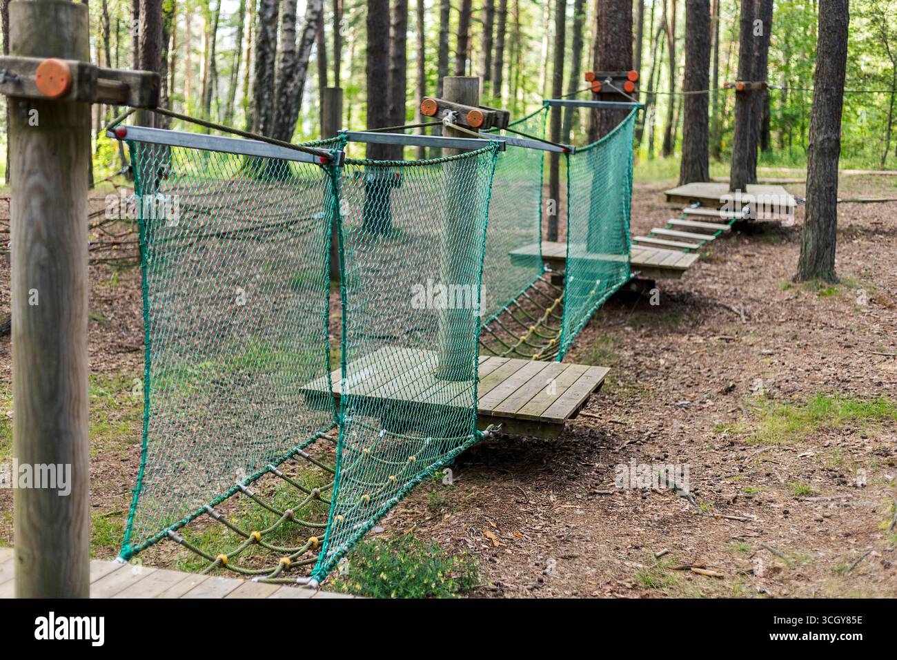 Explore an engaging tree climbing park designed for kids, featuring ...