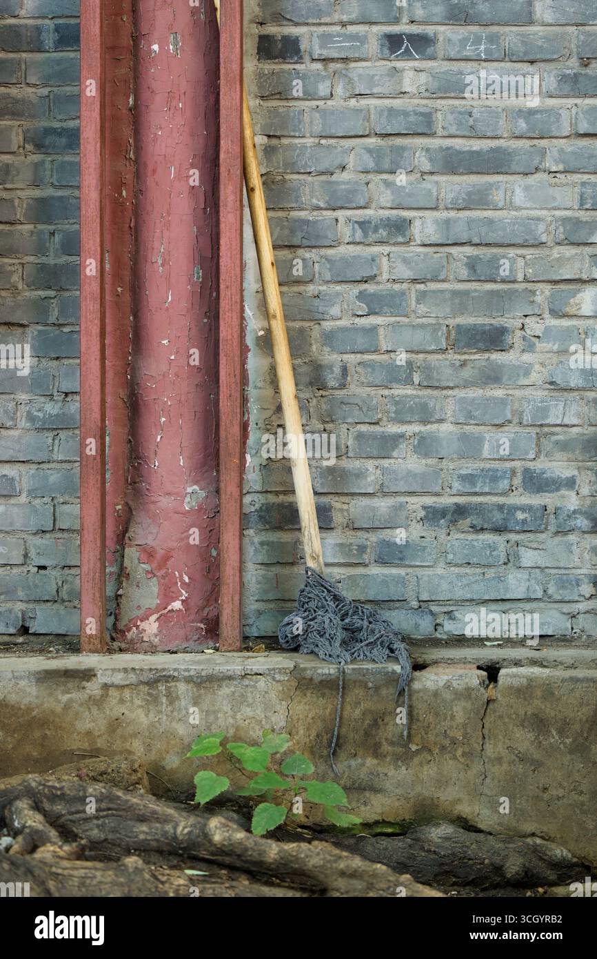 Mops in the Hutongs, Beijing, China Stock Photo - Alamy