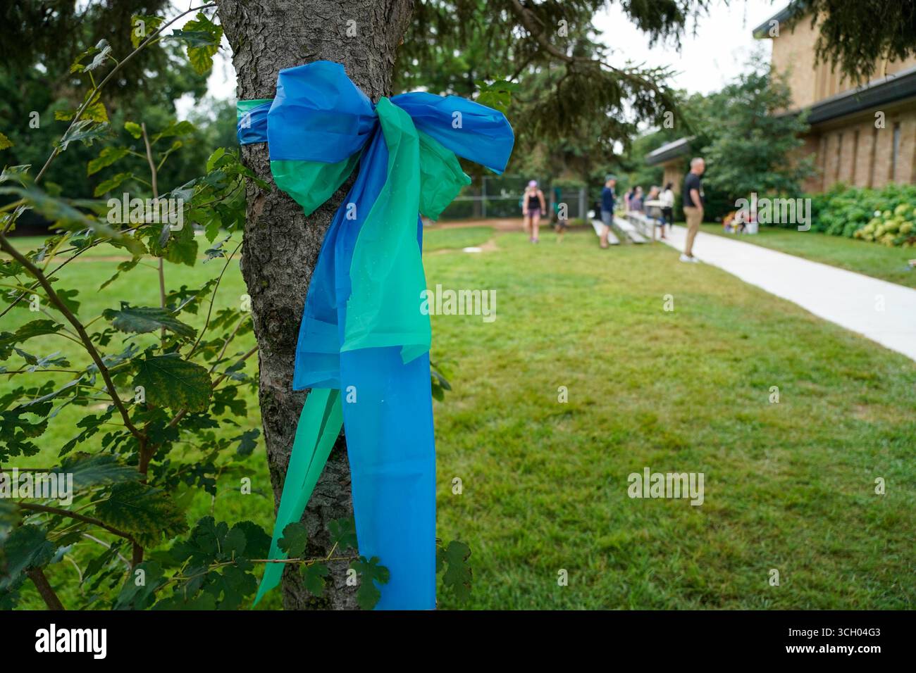Ribbons with the school colors of are tied all around the streets near ...
