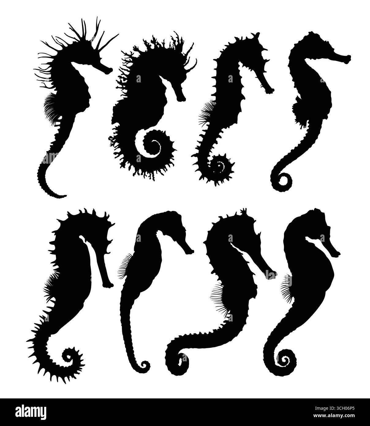 Set different marine animals Stock Vector Images - Alamy