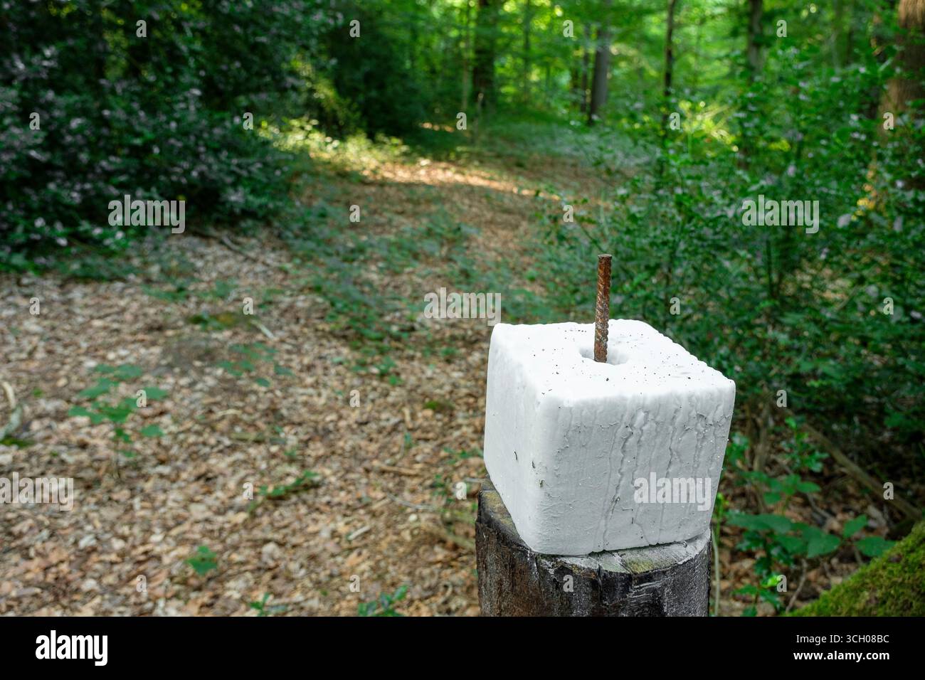 Baliveau hi-res stock photography and images - Alamy