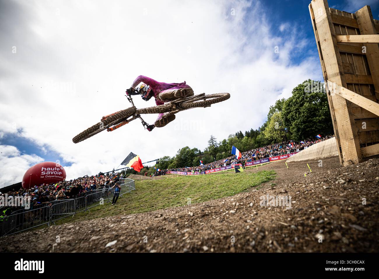 Martin maes hi-res stock photography and images - Alamy