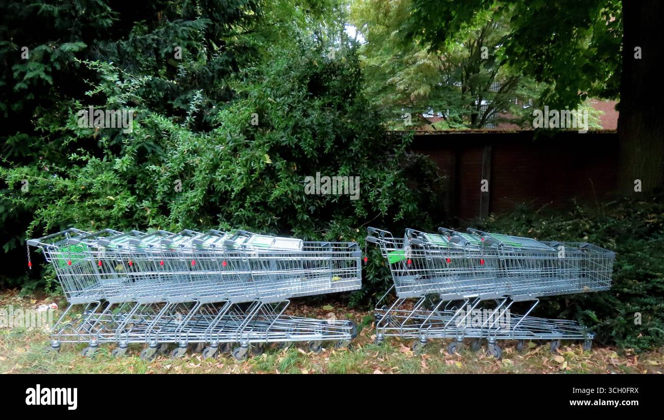 Einkaufswagen Sammlung - vom Discounter mitgenommen zum Transport des ...