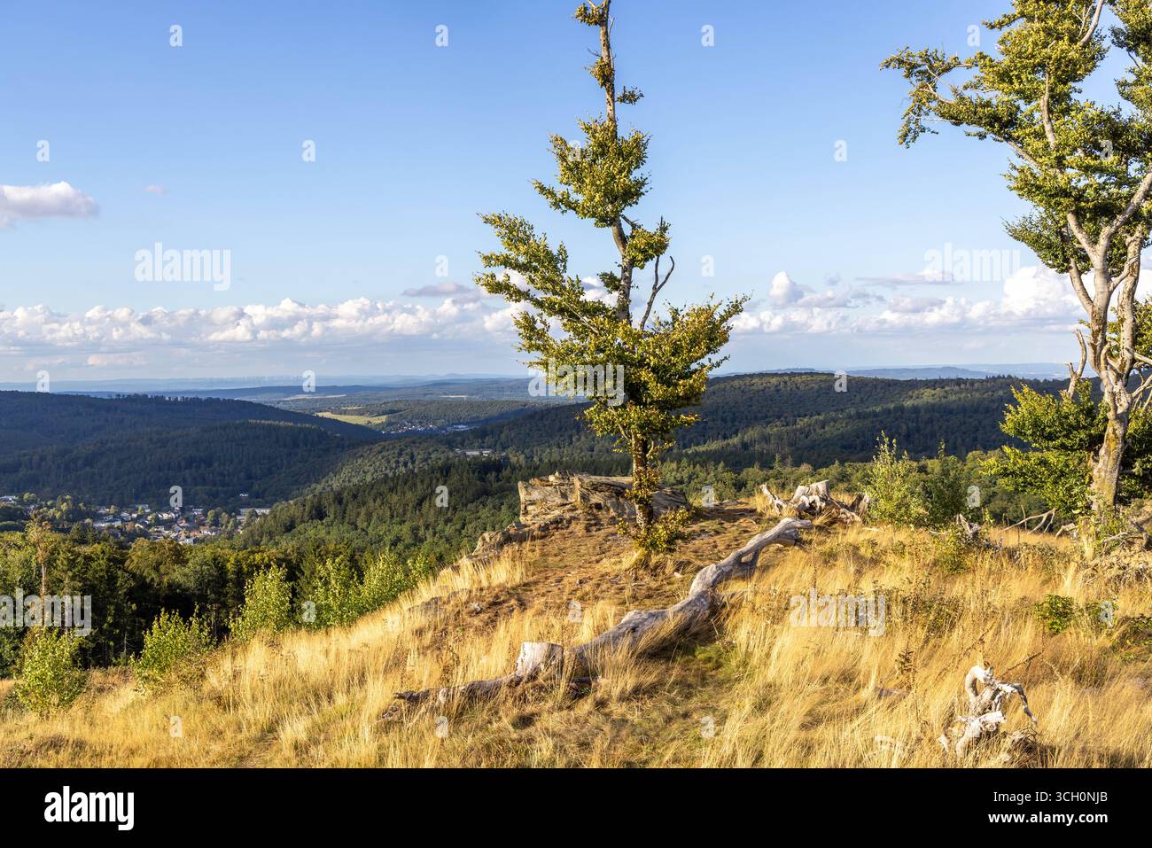 Spätsommertag im Taunus Die Sonne scheint bei blauem Himmel und Wolken ...
