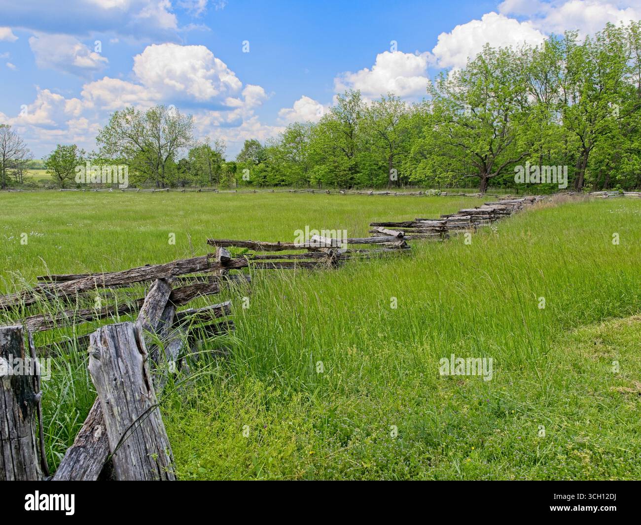 Line of split-rail worm fence across Civil War battlefield at Pea Ridge ...