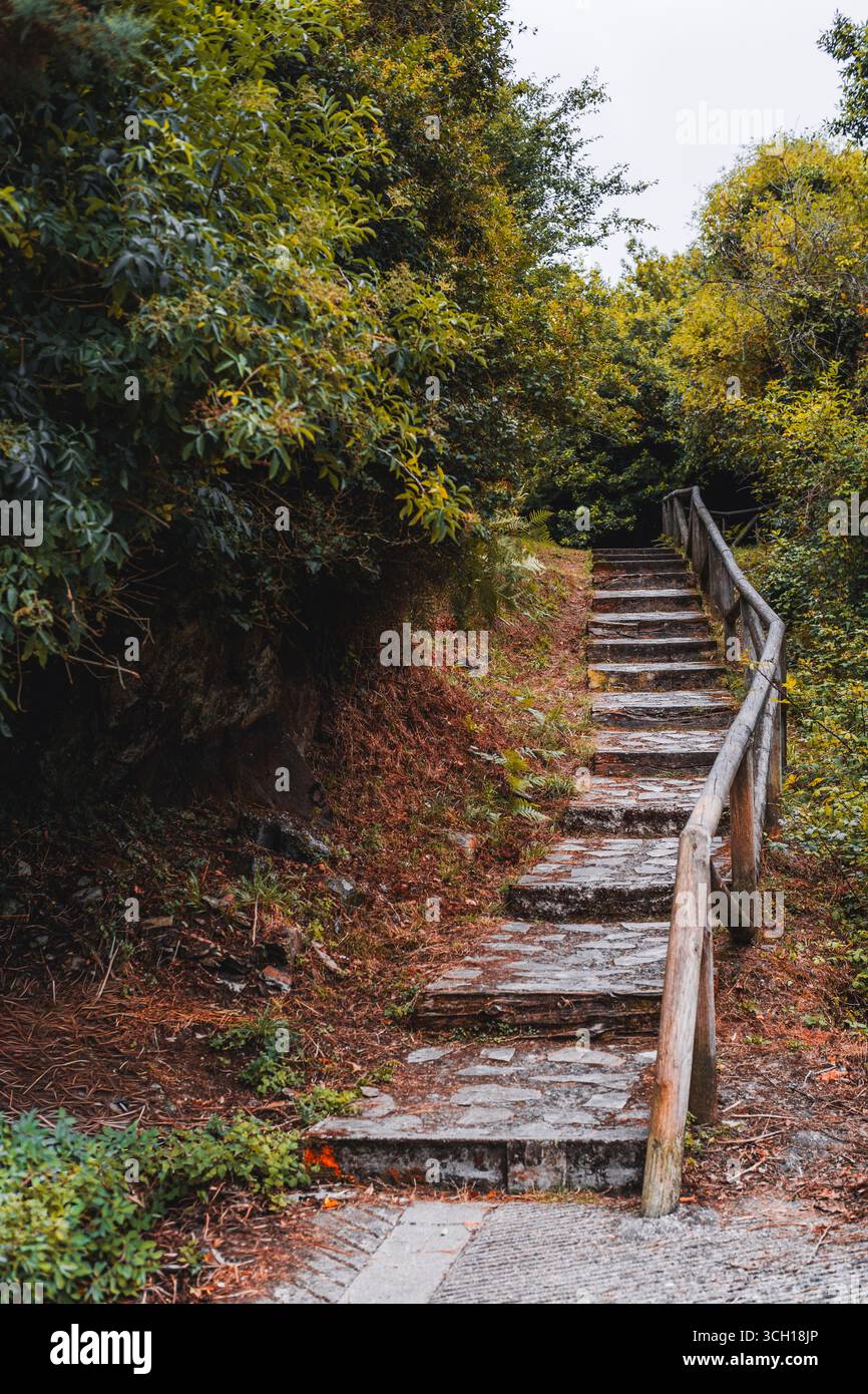 Rustic stone staircase with wooden railing leading uphill through dense ...