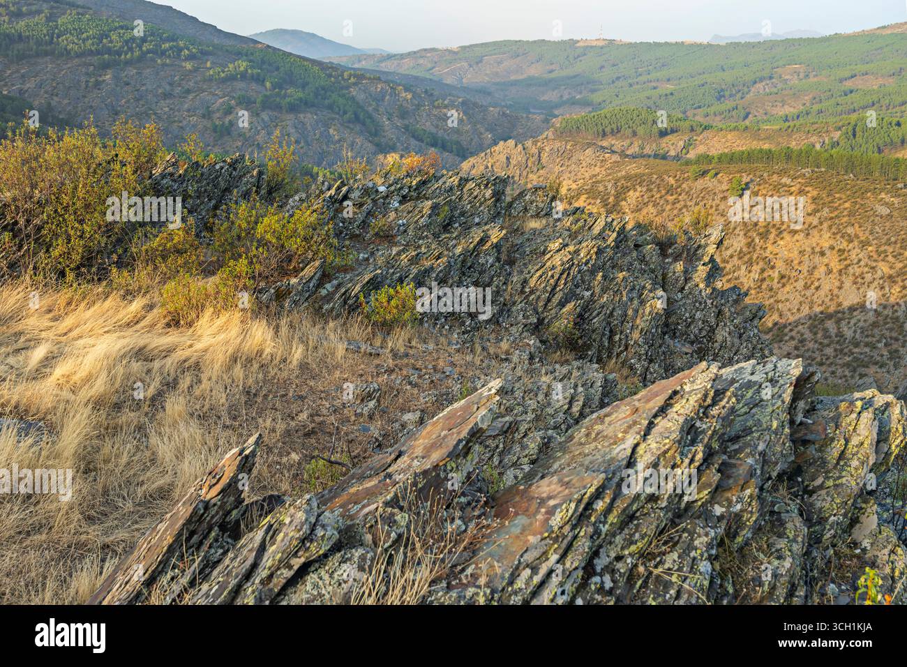 Frozen lightning bolts hi-res stock photography and images - Alamy