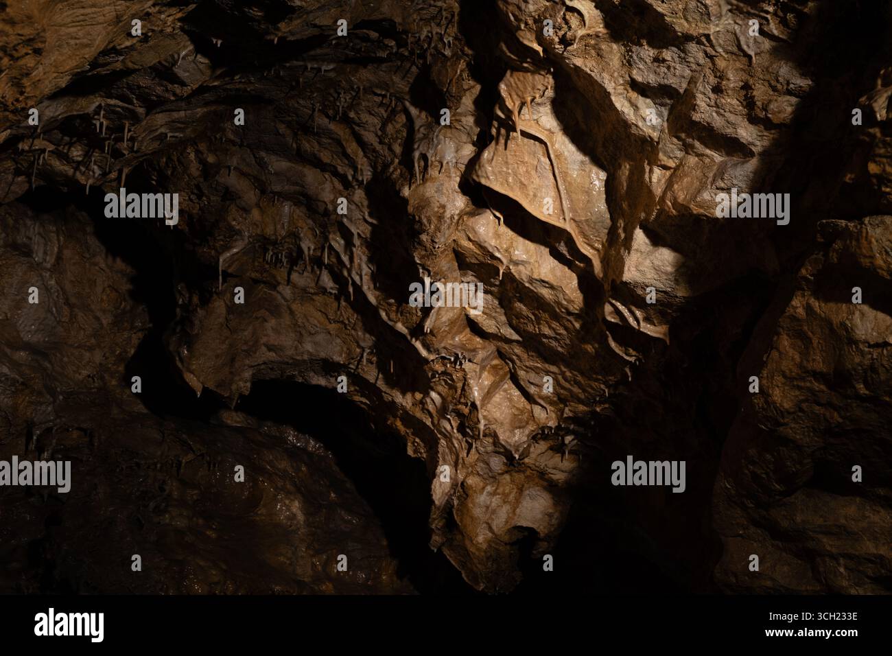 Natural underground dolomite formations in the Bozkov Dolomite Caves ...