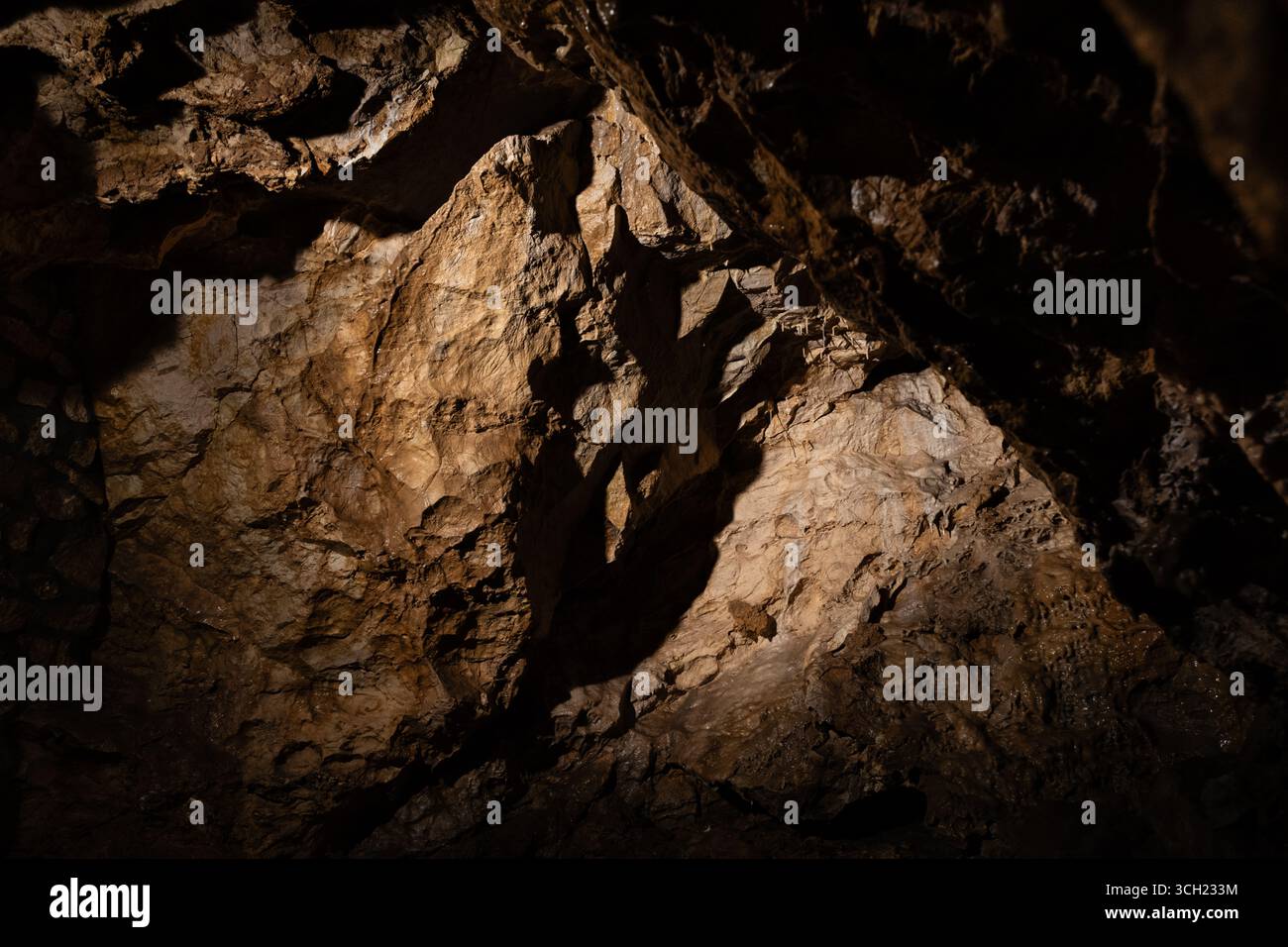 Natural underground dolomite formations in the Bozkov Dolomite Caves ...