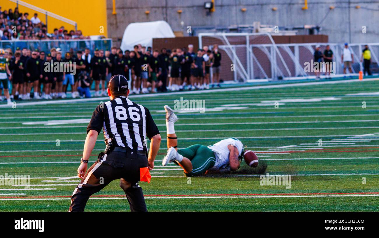 Jacob goldstone hi-res stock photography and images - Alamy