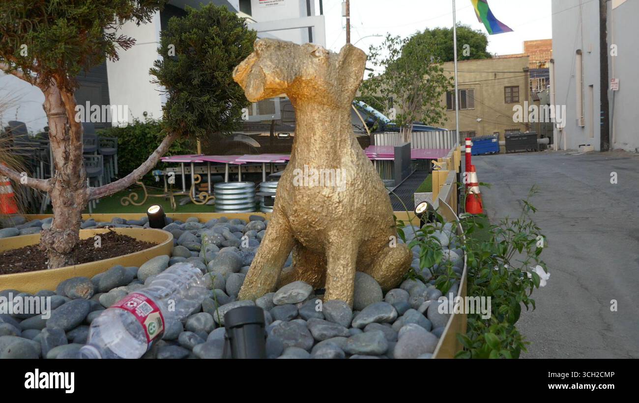 Los Angeles, California, USA 29th August 2025 Collar and Foam Dog Club ...