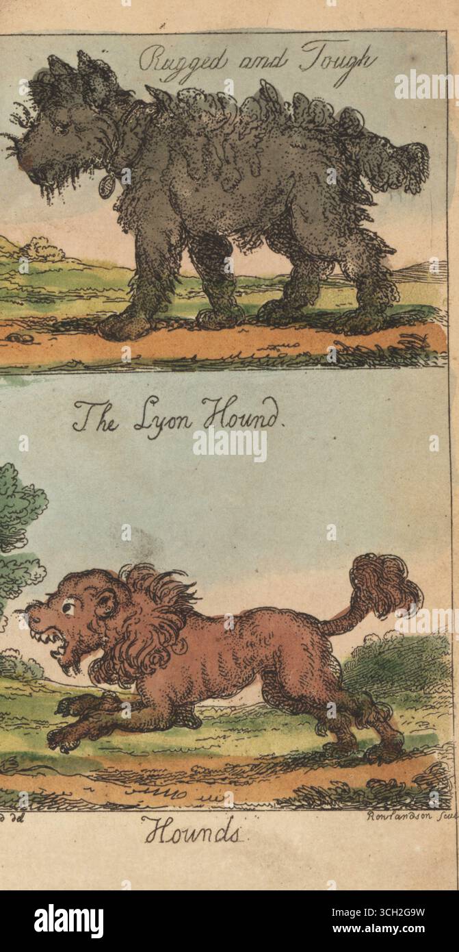 Timothy tangent hi-res stock photography and images - Alamy