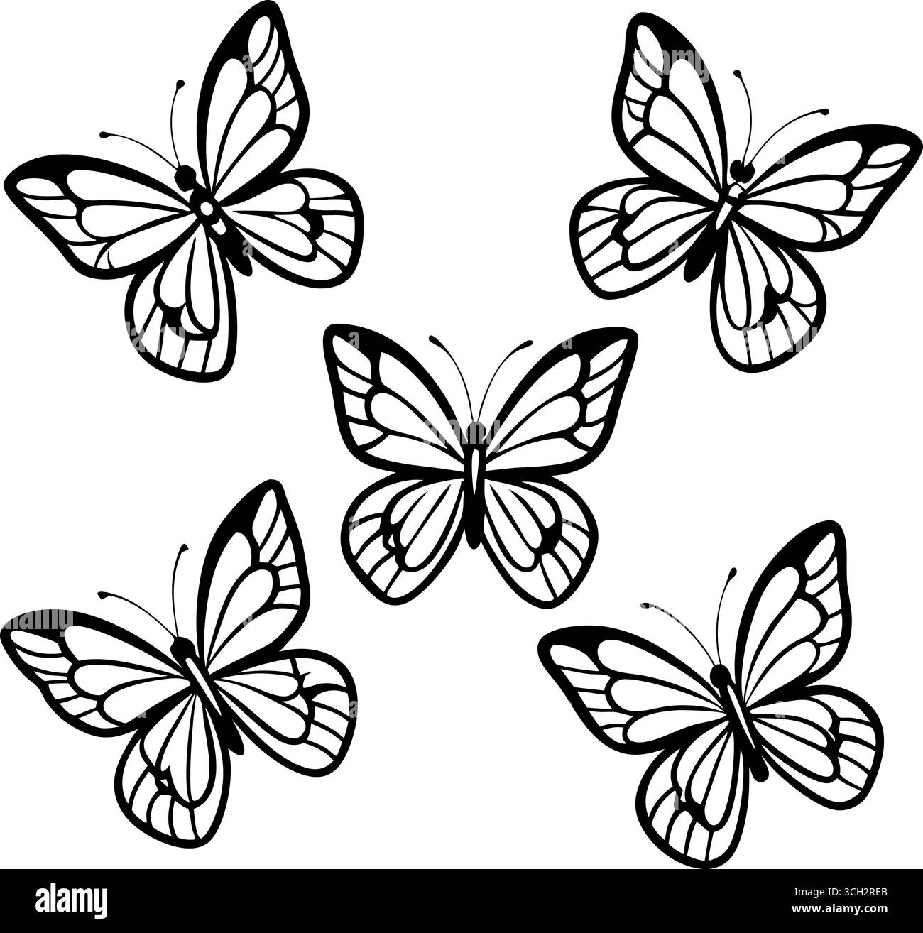 Delicate animals Black and White Stock Photos & Images - Alamy