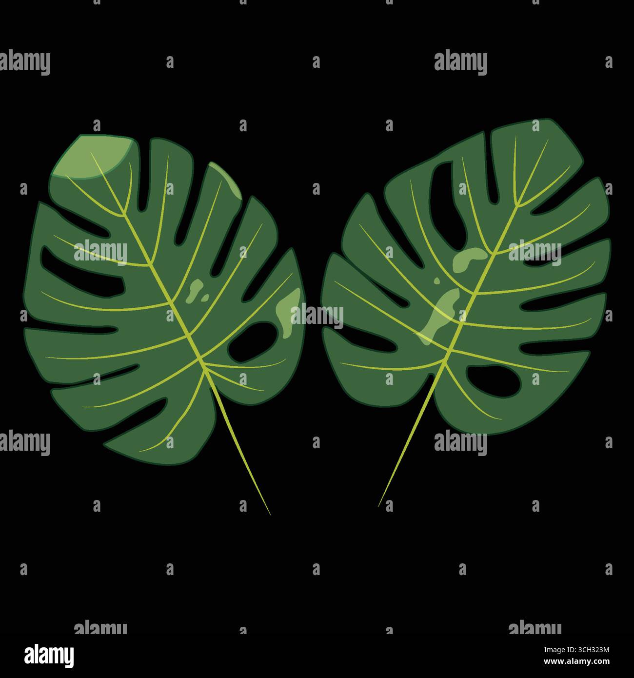 Monstera plant art Stock Vector Images - Alamy