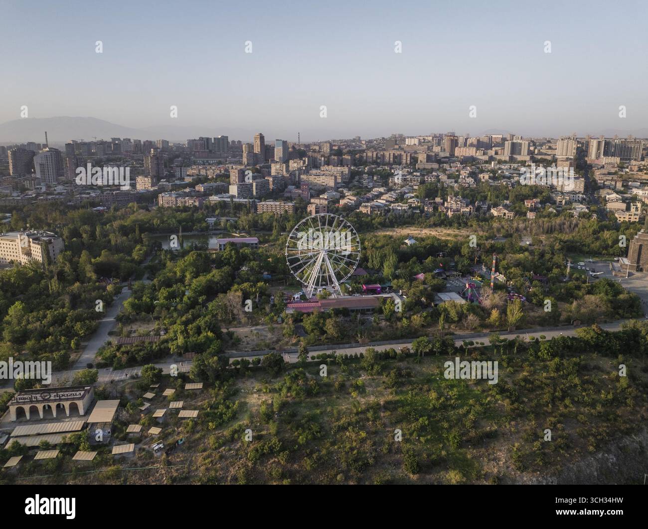 Aerial view of a Ferris wheel rising above lush green trees ...