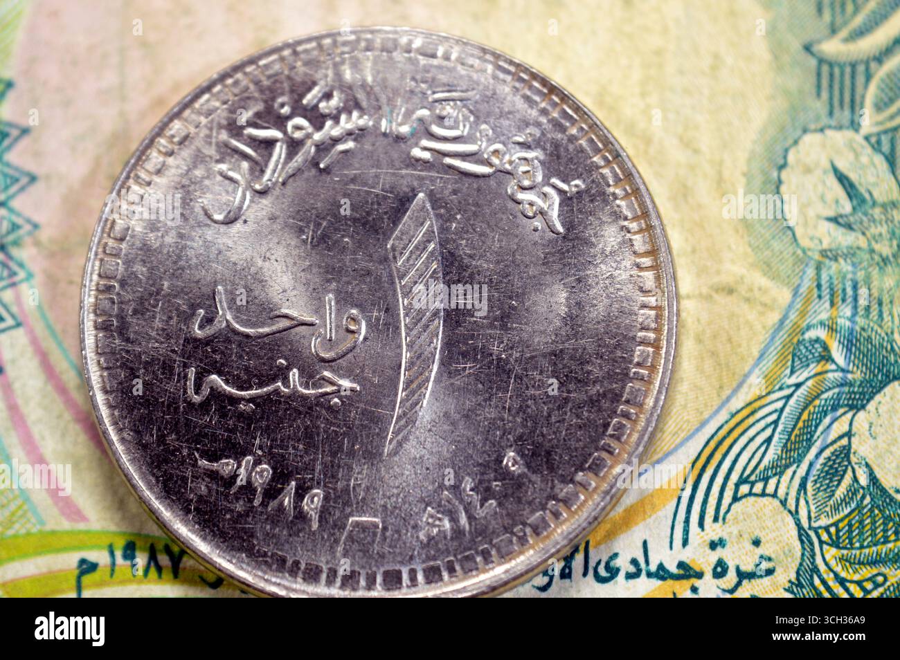 Reverse side of 1 SDG one Sudanese pound coin, features inscription of ...