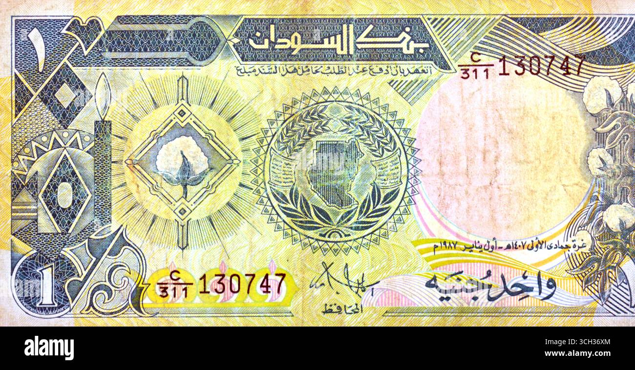 a large fragment of the obverse side of 1 SDG one Sudanese pound cash ...