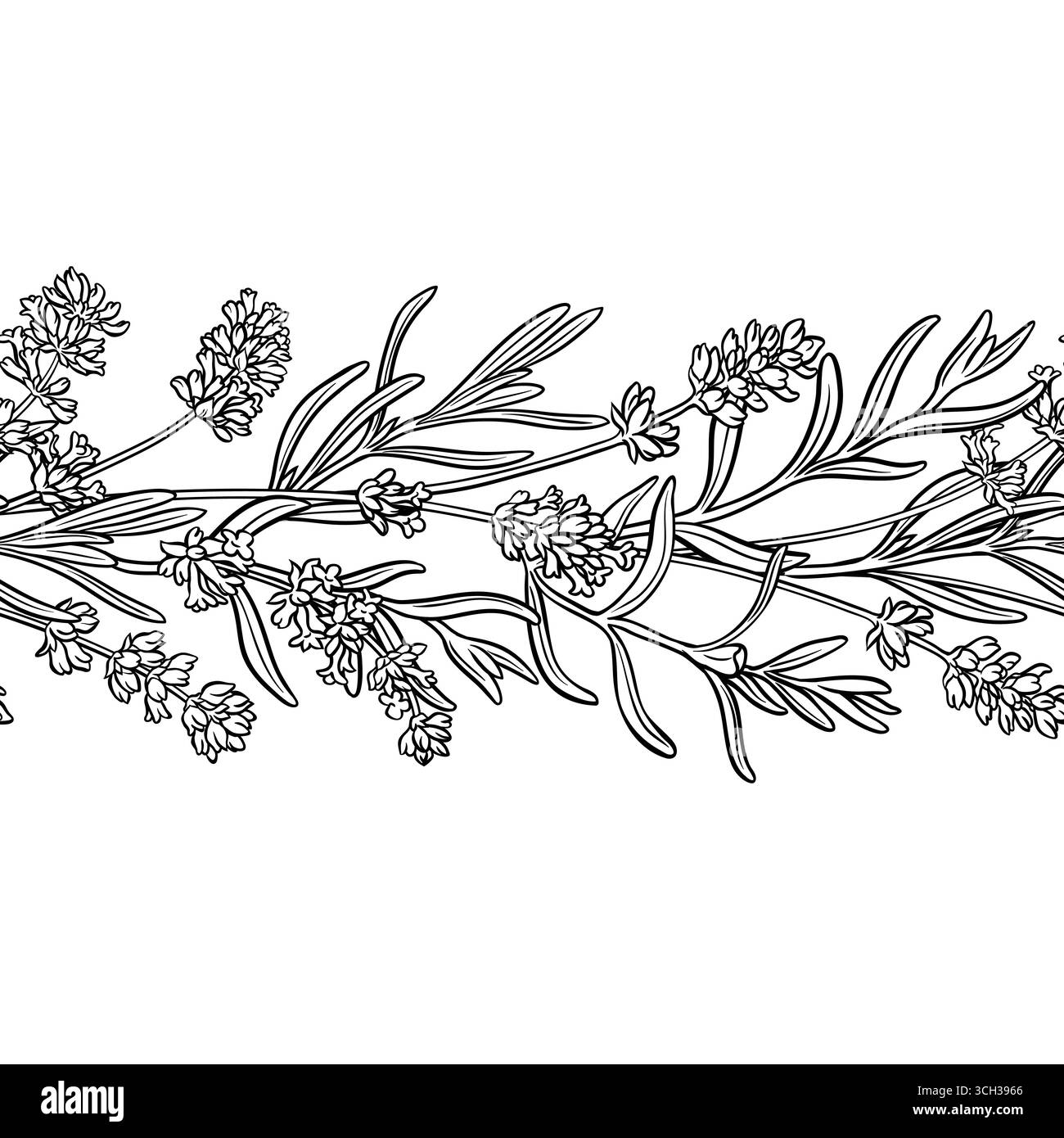 Lavender Outline Horizontal Seamless Pattern Stock Vector Image & Art ...