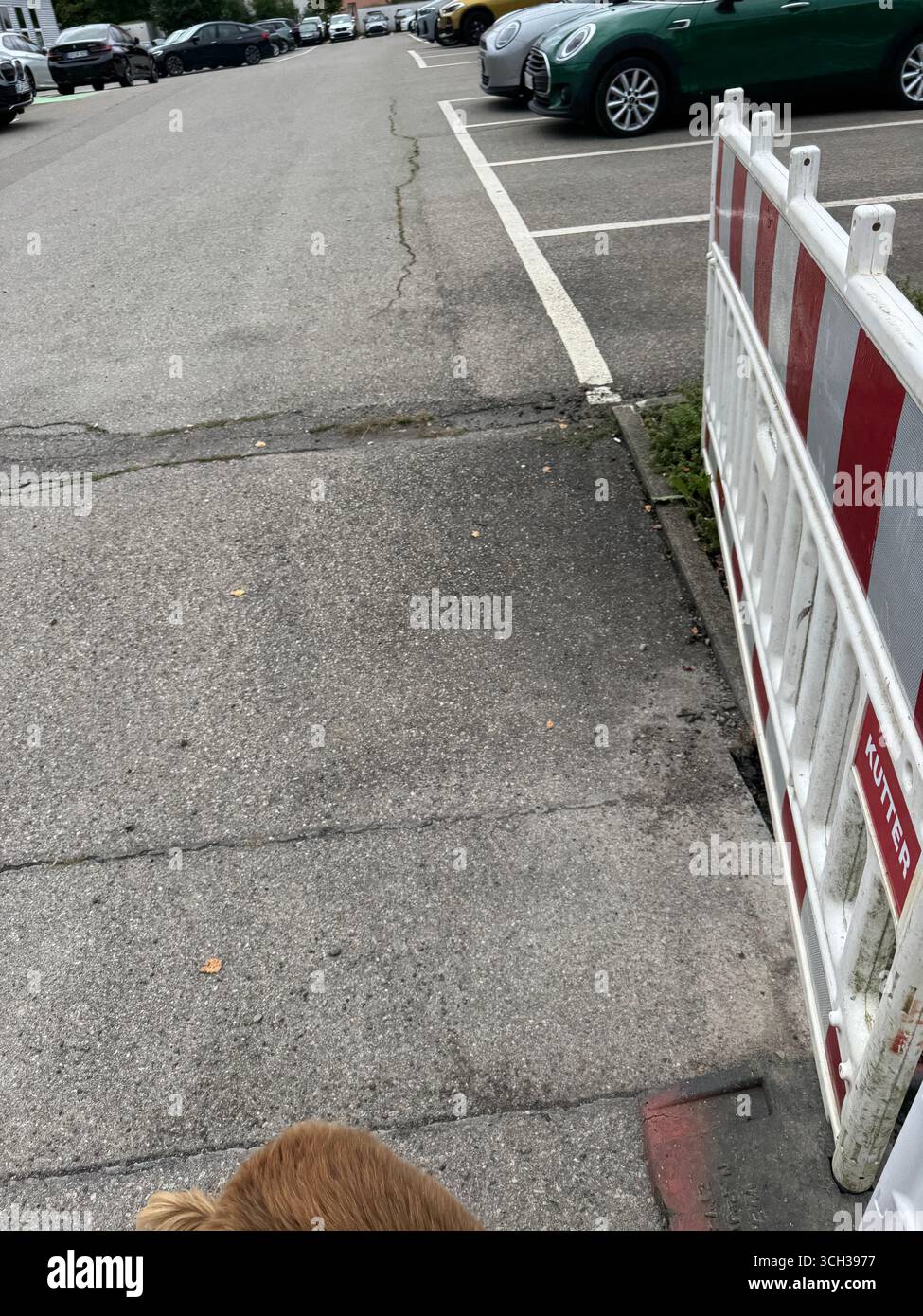 An Urban Barrier and Sidewalk Scene Captured in a Busy Area Filled with ...