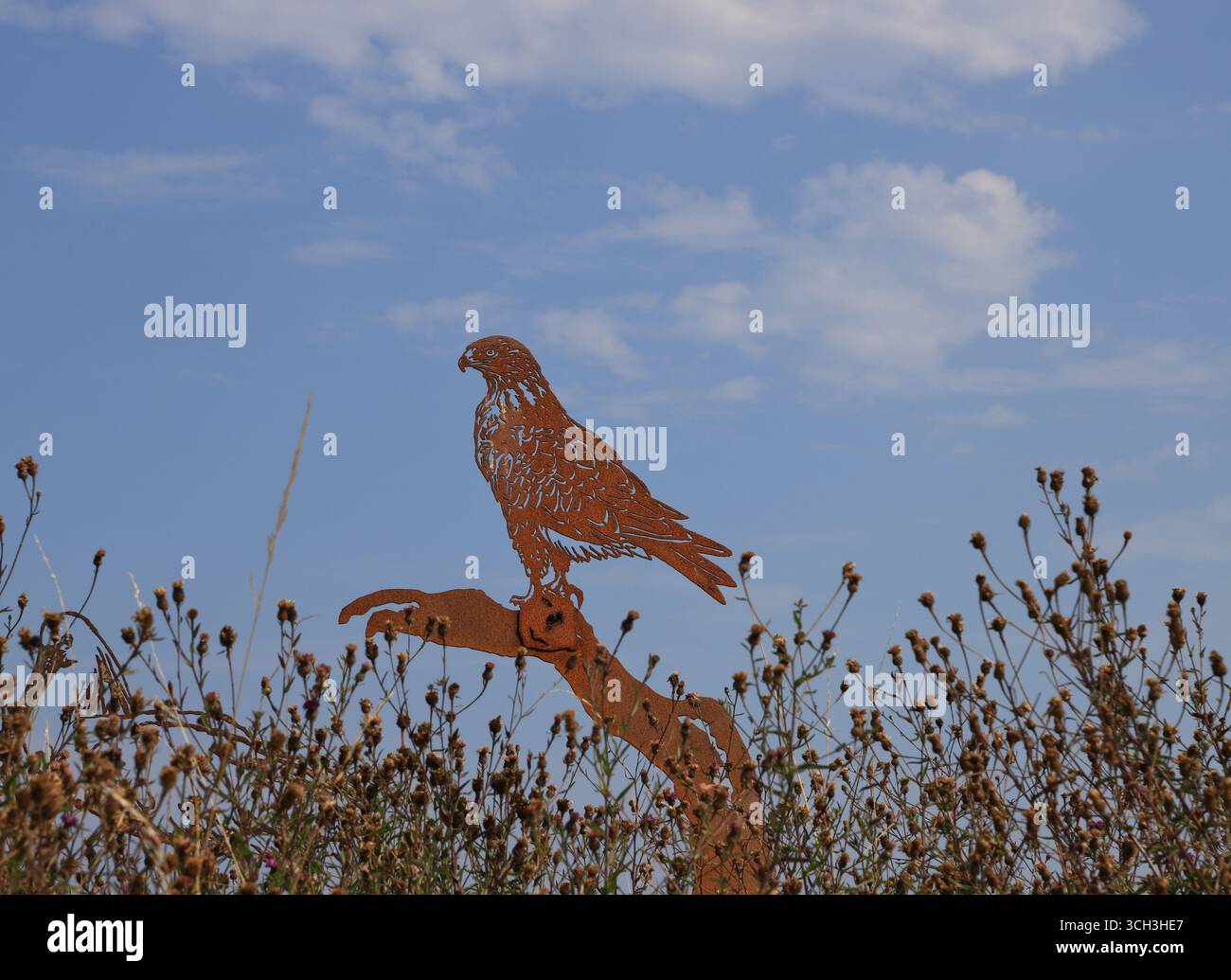 Life of Cley bird sculpture installation by Cindy Lee Wright at NWT ...