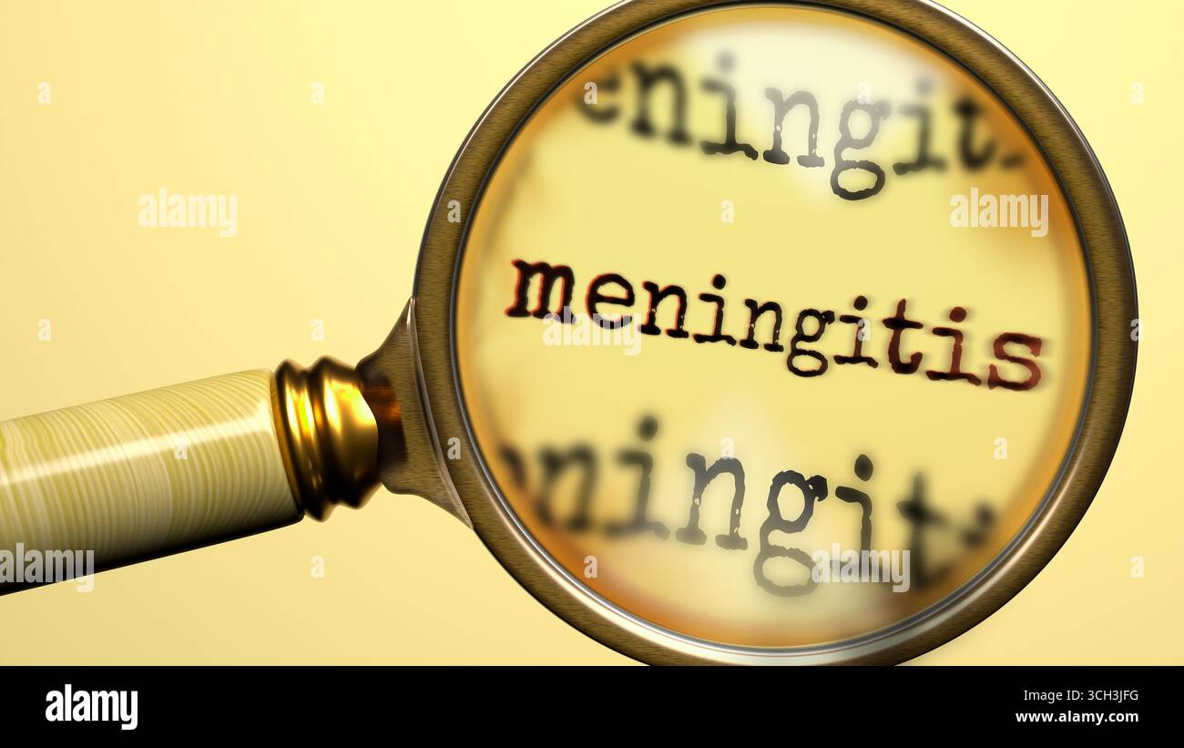Meningitis under magnifying glass. Thorough analysis and inspection of ...