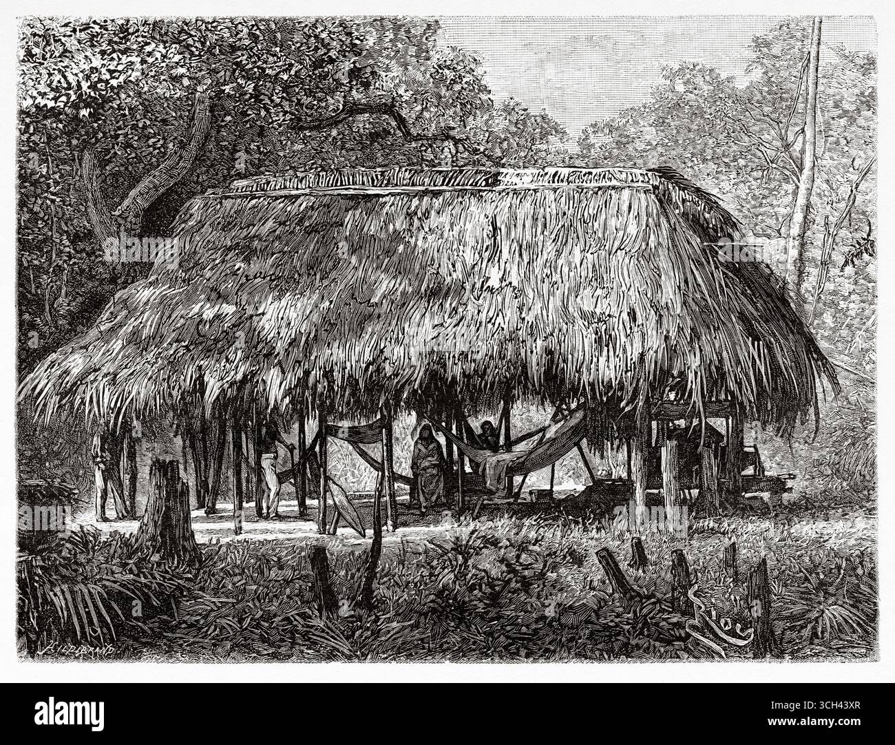 Ajoupa, traditional hut made of wooden stilts on Cuairima Island in the ...