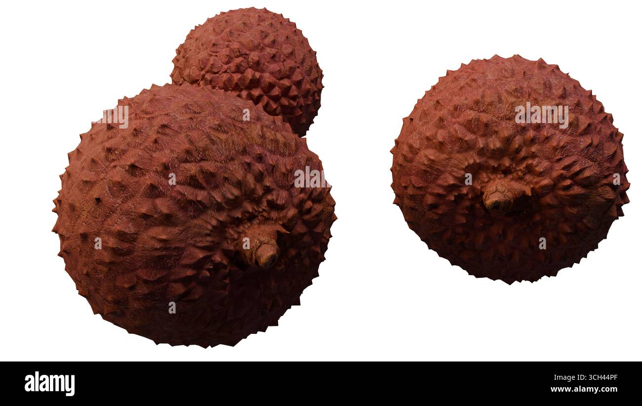 Three fresh lychee fruits hi-res stock photography and images - Alamy